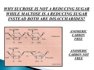 Carbohydrates | PPTX | Chemistry | Science