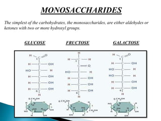 Carbohydrates | PPTX | Chemistry | Science