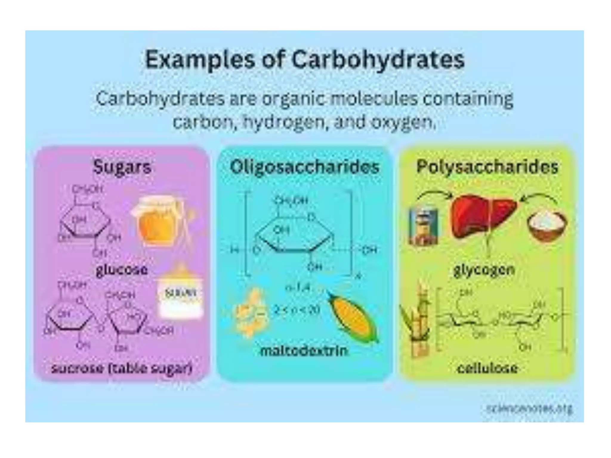 CARBOHYDRATES – PROPERTIES AND FUNCTIONS.ppt