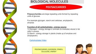 Carbohydrates structre | PPTX