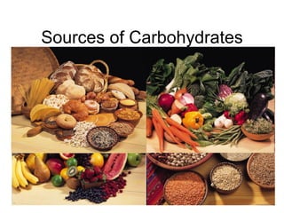 Three Sources Of Carbohydrates