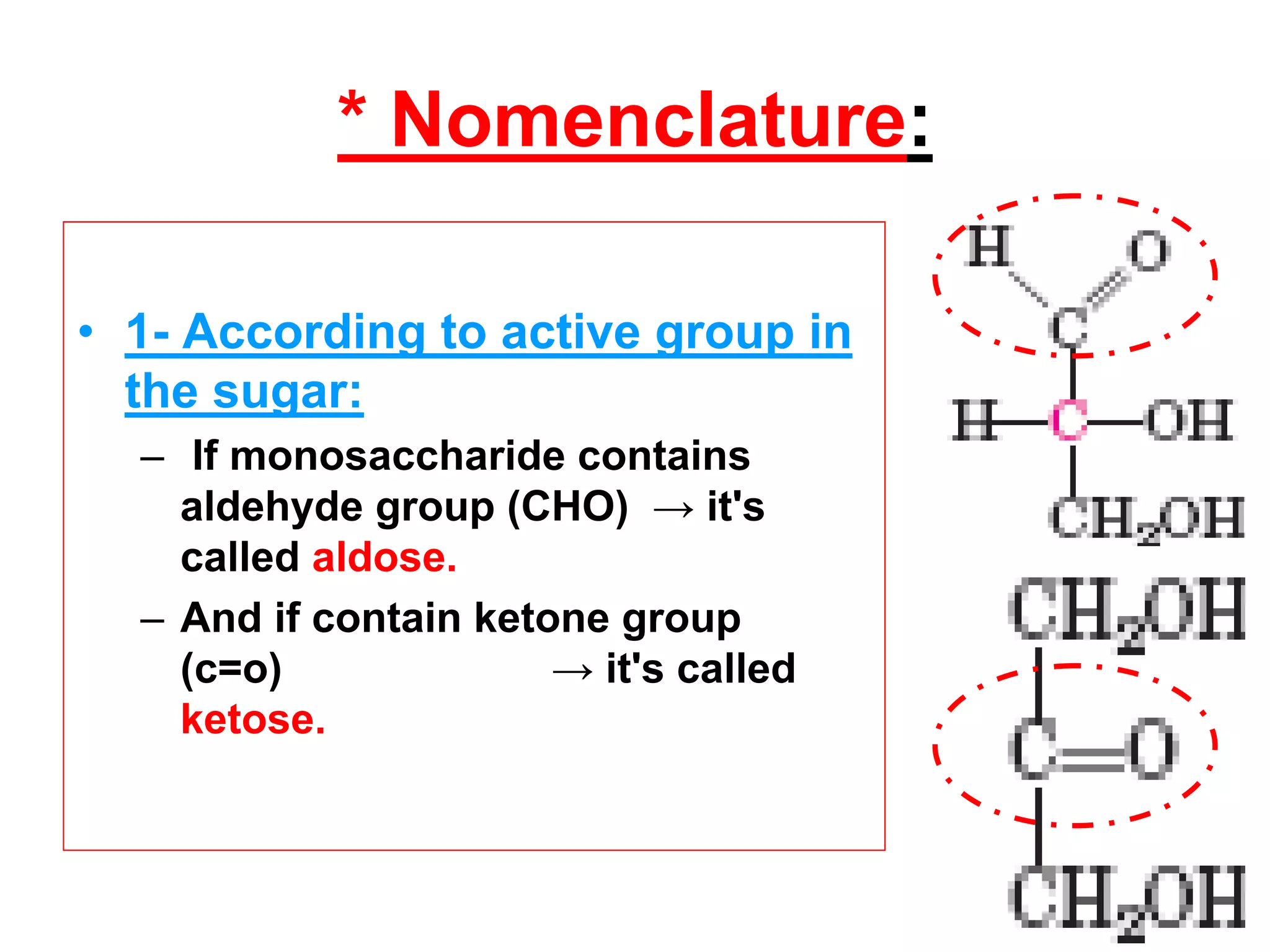 Carbohydrate structure | PDF