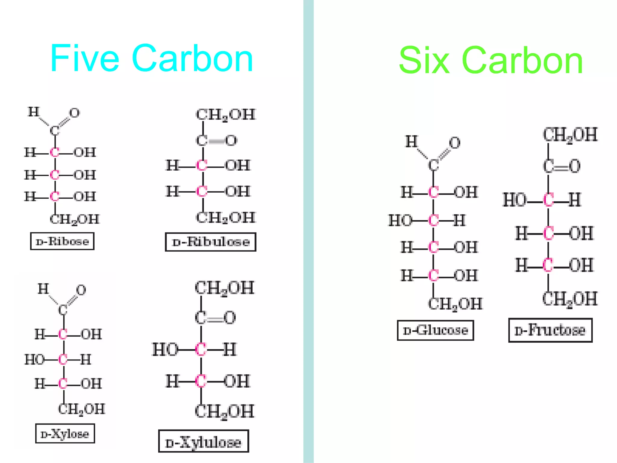 Carbohydrate structure | PDF