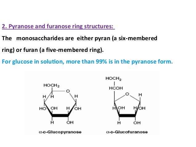 Carbohydrate structure
