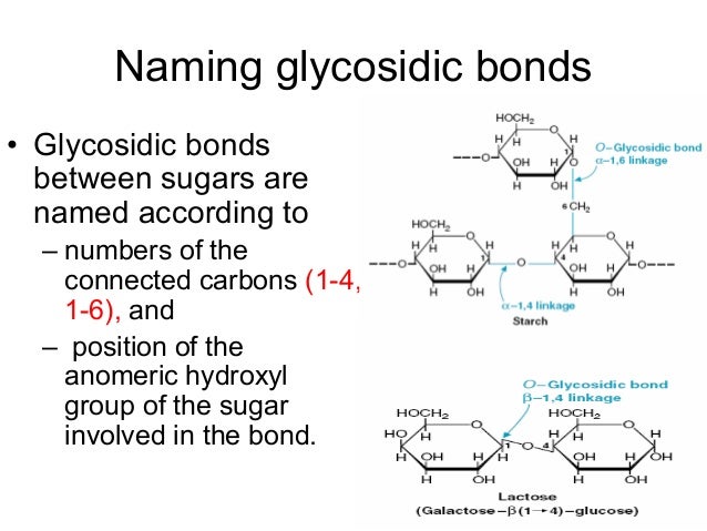 Carbohydrate structure