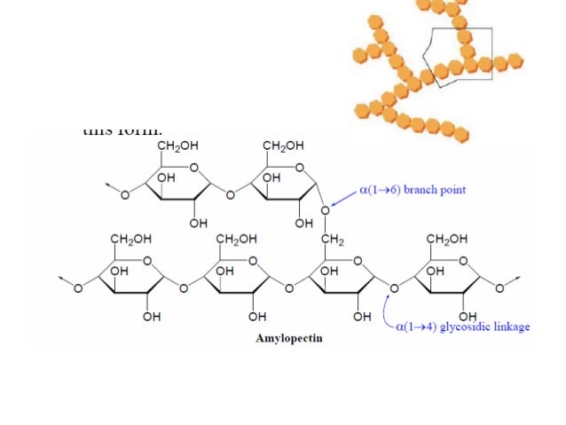 Carbohydrate structure