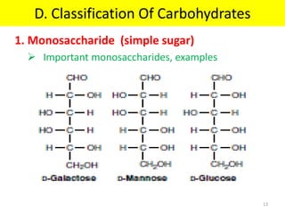 Carbohydrate Structure