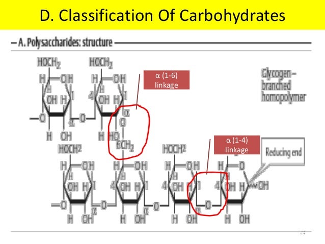 Carbohydrate structure