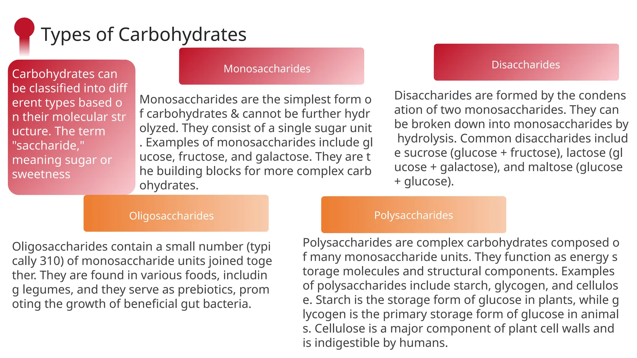 Carbohydrates Structure Types And Functions