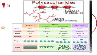 Carbohydrate structure and classification.pptx