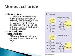 Carbohydrates | PPT