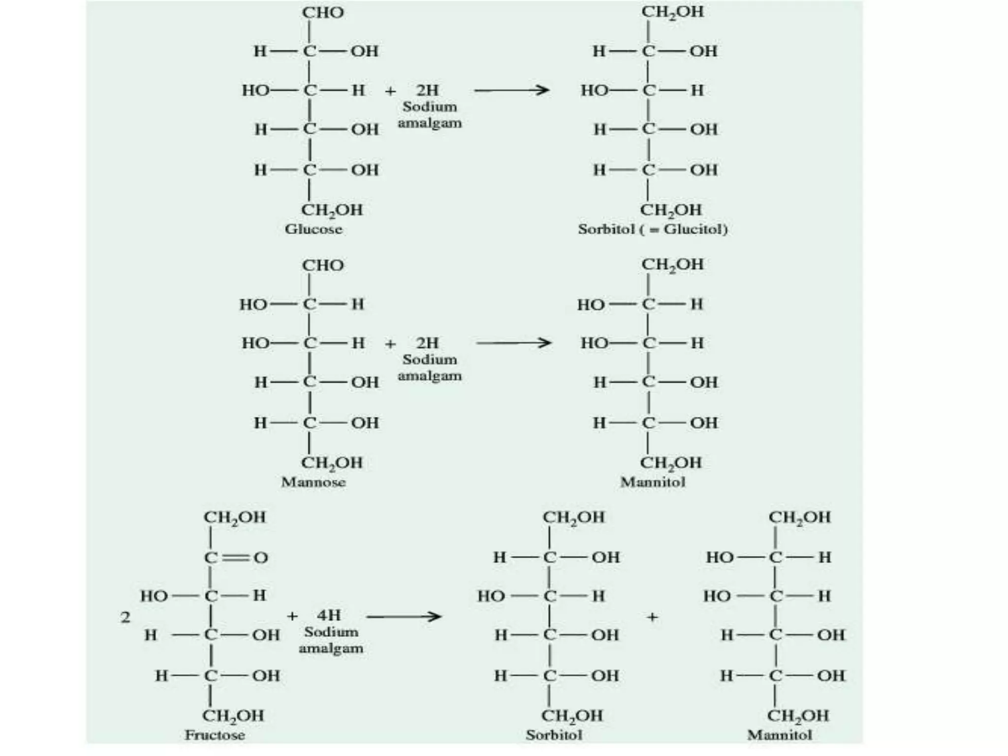 Test For Carbohydrate | PPTX