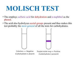 Test For Carbohydrate | PPTX