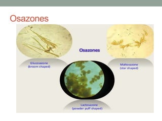 Tests for Carbohydrates | PPTX