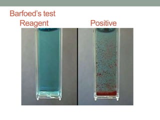 Tests for Carbohydrates | PPTX