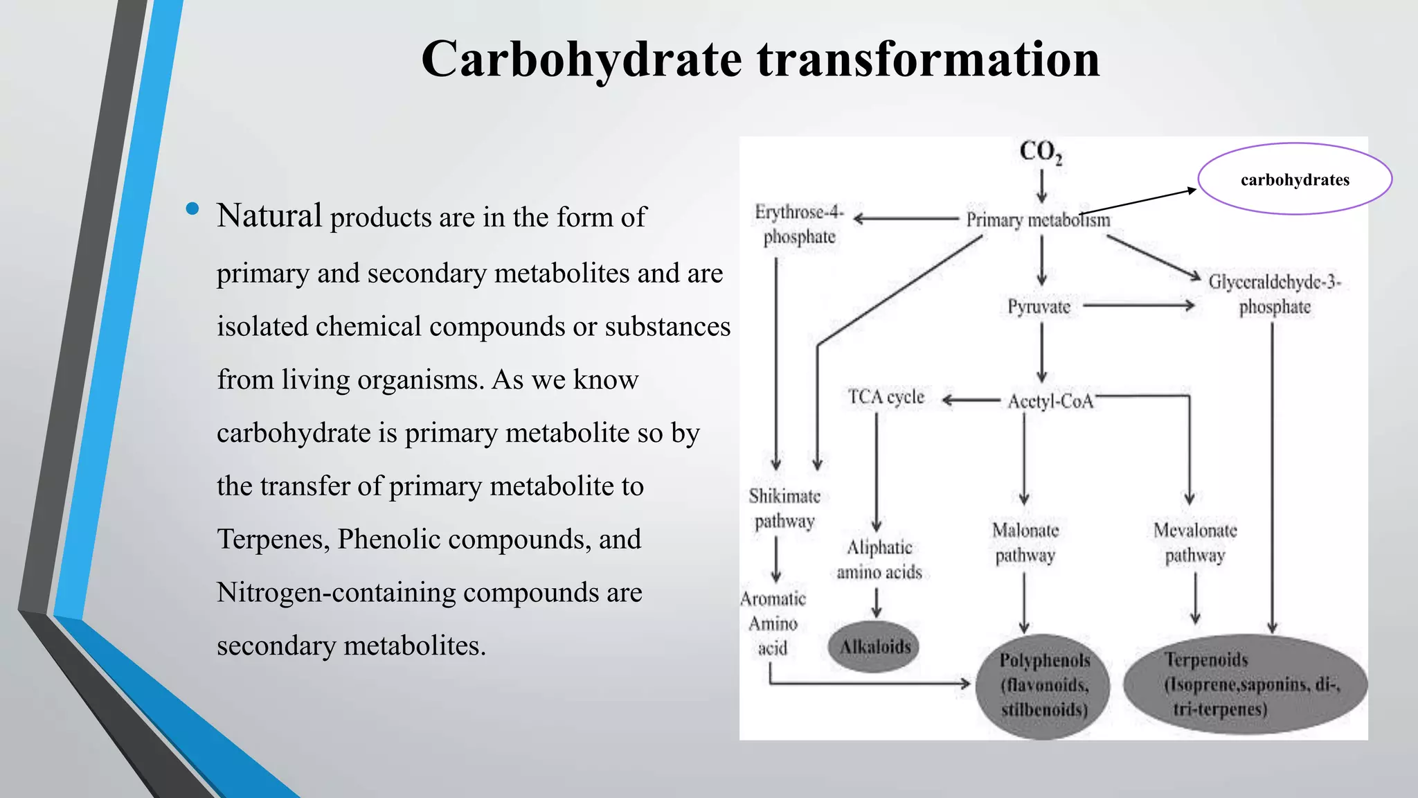 Carbohydrate transformation to different natural product.pptx