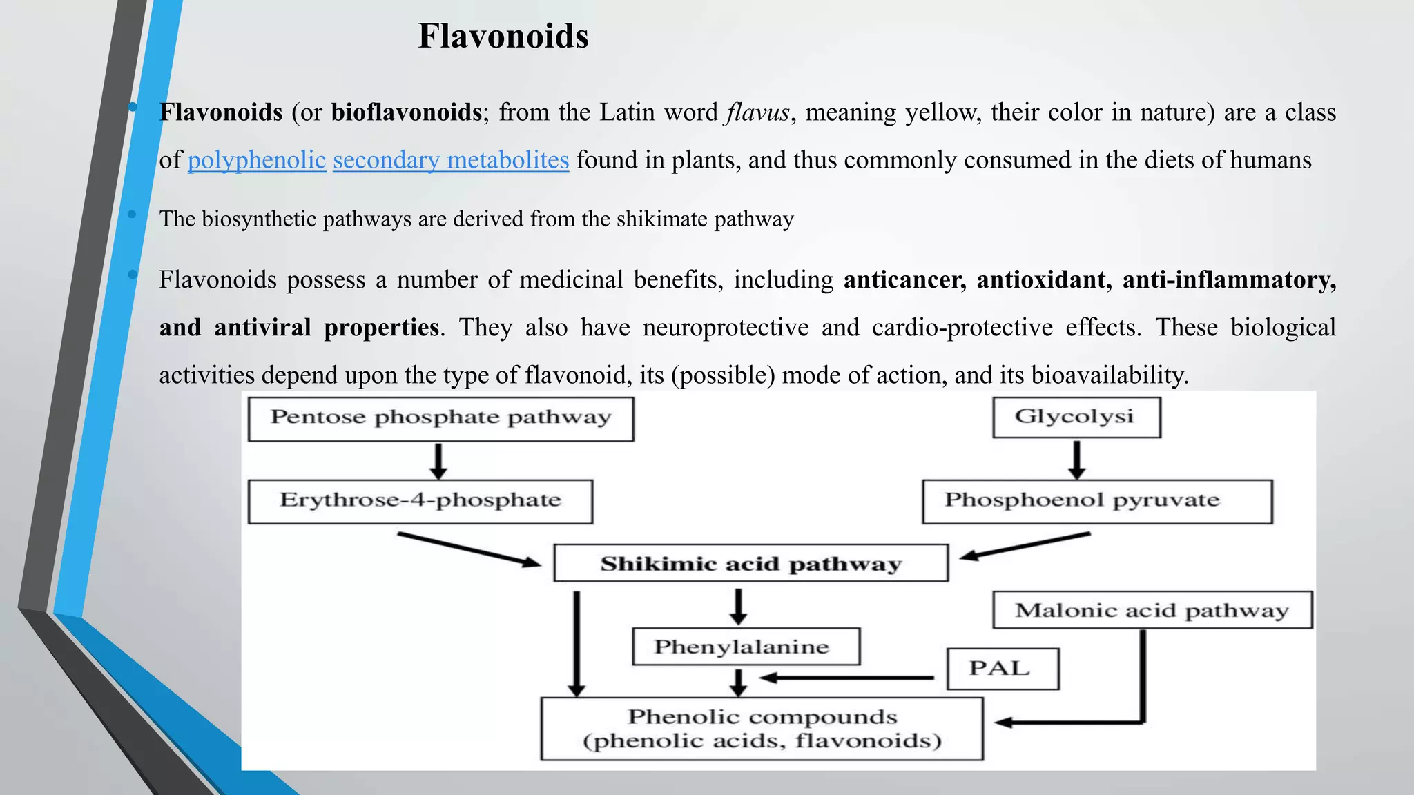 Carbohydrate transformation to different natural product.pptx