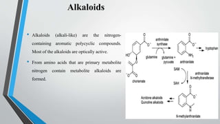 Carbohydrate transformation to different natural product.pptx
