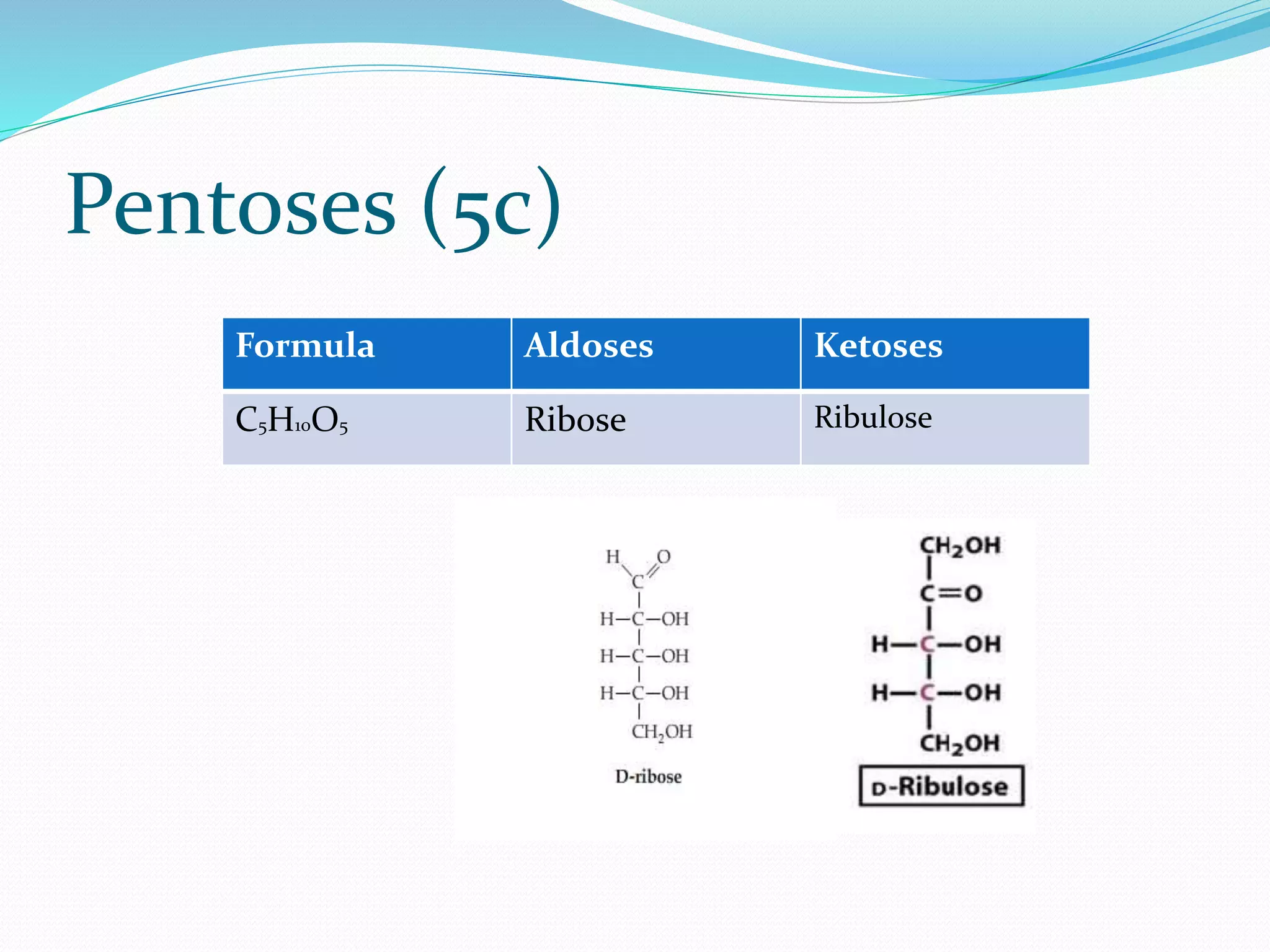 Carbohydrates and Lipids | PPTX