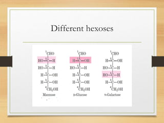 Carbohydrrates lecture | PPTX