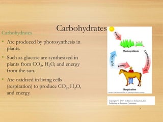 Carbohydrrates lecture | PPTX