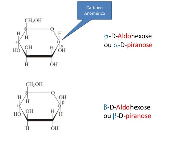 Bioquímica Básica: Carboidratos