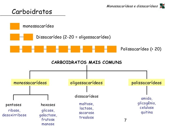 Carboidratos aula