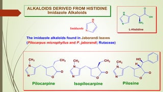 Carboline, imidazole and purine based alkaloids | PPTX