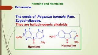 Carboline, imidazole and purine based alkaloids | PPTX