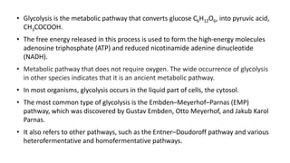 CARBOHYDRATES, GLYCOLYSIS, GLUCONEOGENESIS | PPT