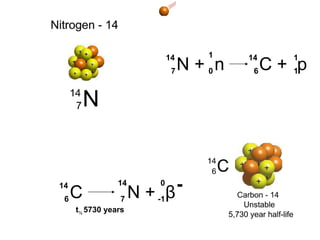 Radioactive Decay Carbon 14