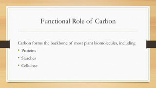 Carbon Role in Plants | PPTX