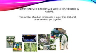 Carbon | PPTX