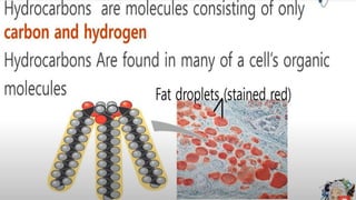 Carbon atoms and its unique properties.pptx