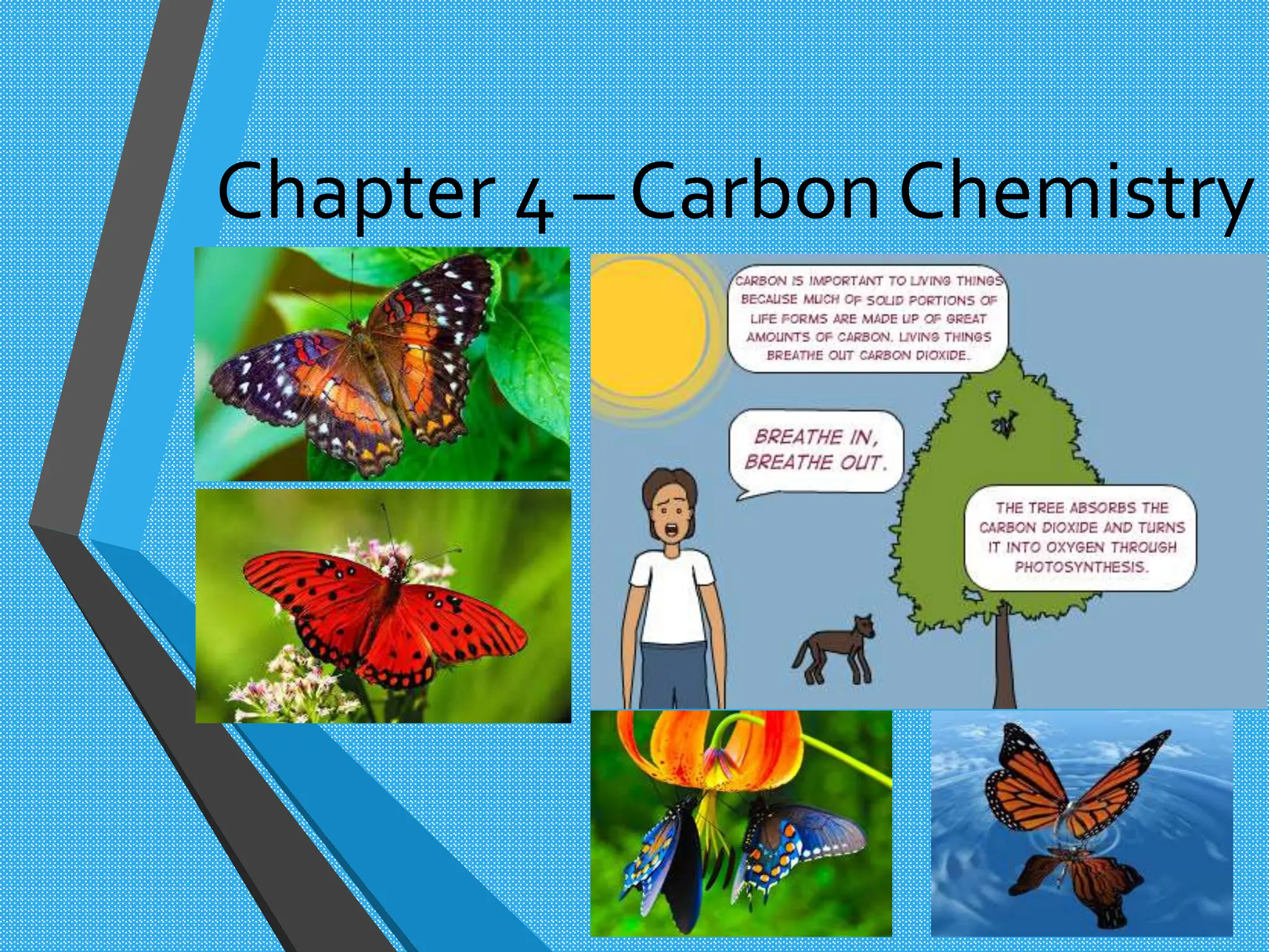 Carbon Chemistry and Applications - Gurumurthy B R | PPT | Chemistry | Science