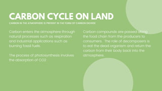 CARBON Cycle, Biogeochemical Cycles .pdf