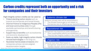 Carbon-Credits-101-for-Investors (ESG, Carbon Offsets) | PDF