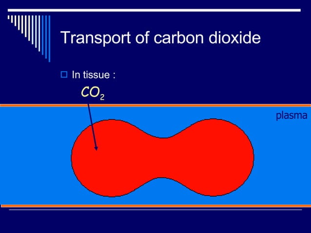 Carbon Dioxide Transport | PPT | Blood Disorders | Diseases and Conditions