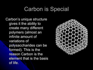Carbon Food | PPT