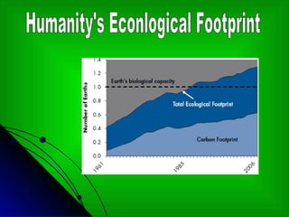 Carbon Footprint | PPT