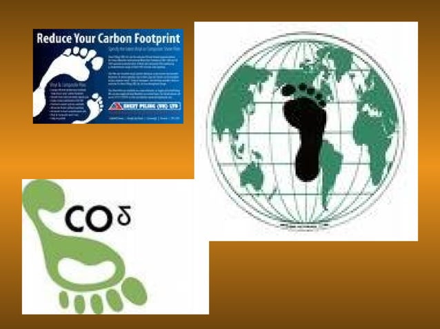 Carbon Footprint | PPT