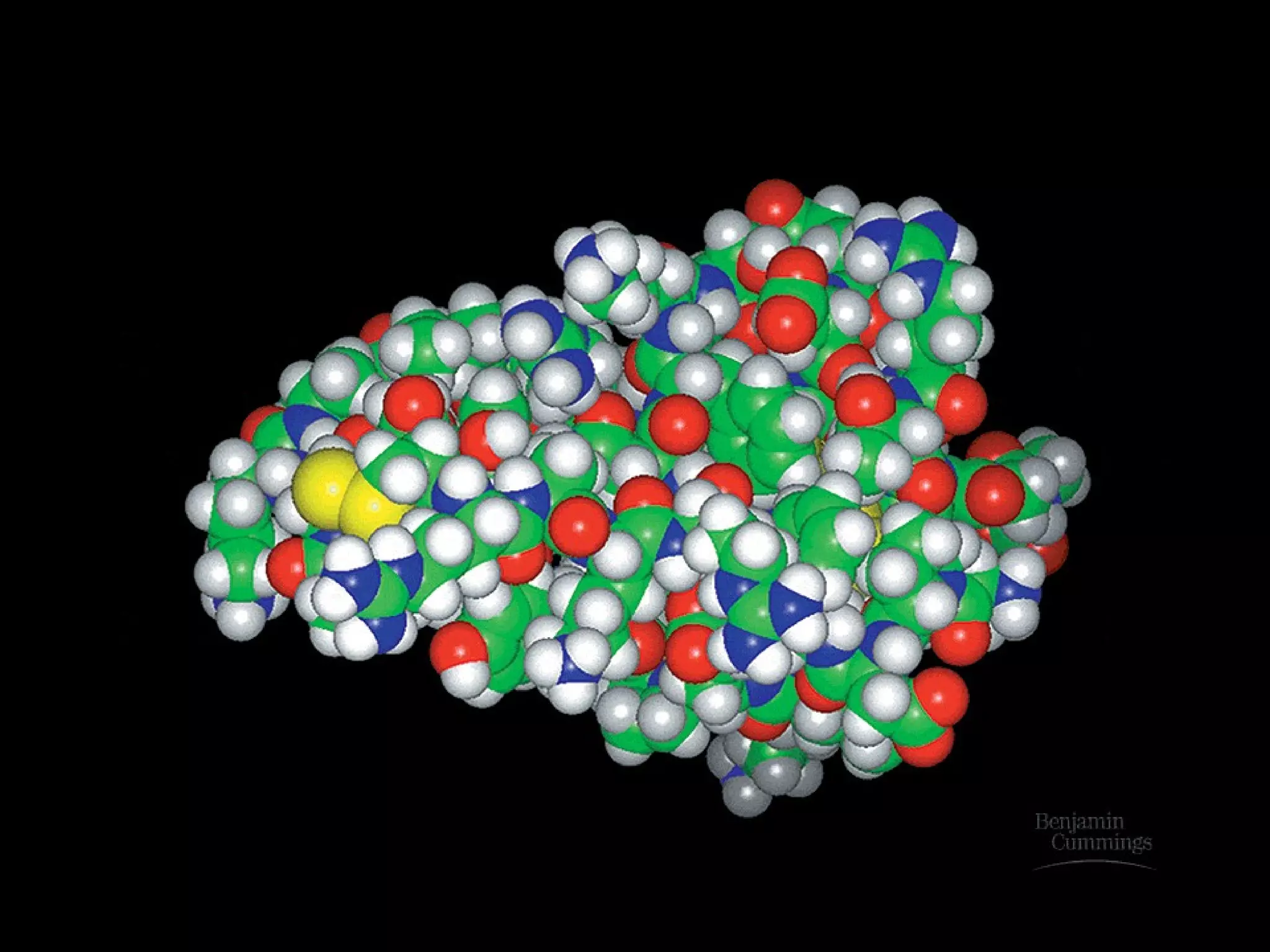 Honors Biology: Carbon & Organic Compounds | PPT | Chemistry | Science
