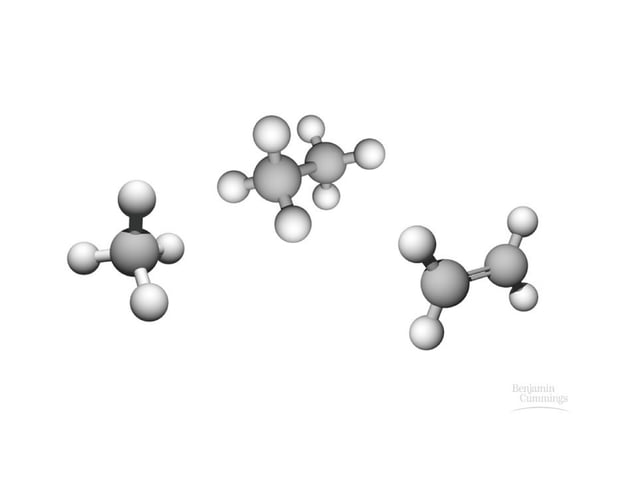 Honors Biology: Carbon & Organic Compounds | PPT | Chemistry | Science