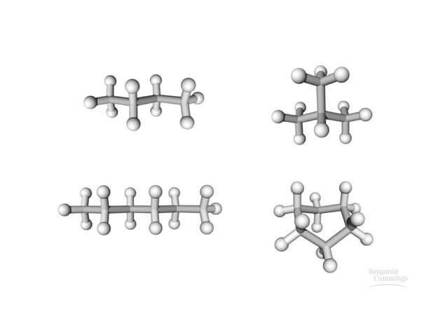 Honors Biology: Carbon & Organic Compounds | PPT | Chemistry | Science