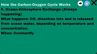 Carbon-oxygen-cycle ppt. pdf.ryuuuuuuuuu | PDF