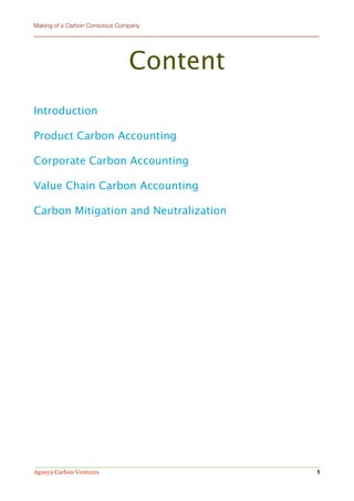 Carbon accounting advisory | PDF