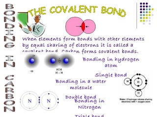 Carbon and its compounds | PPT
