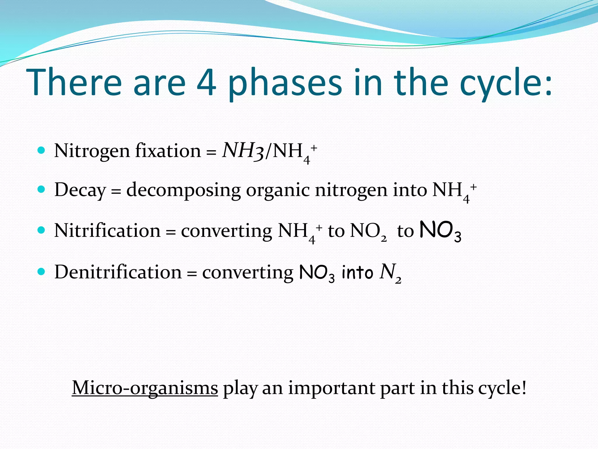 Carbon and nitrogen cycle | PPTX
