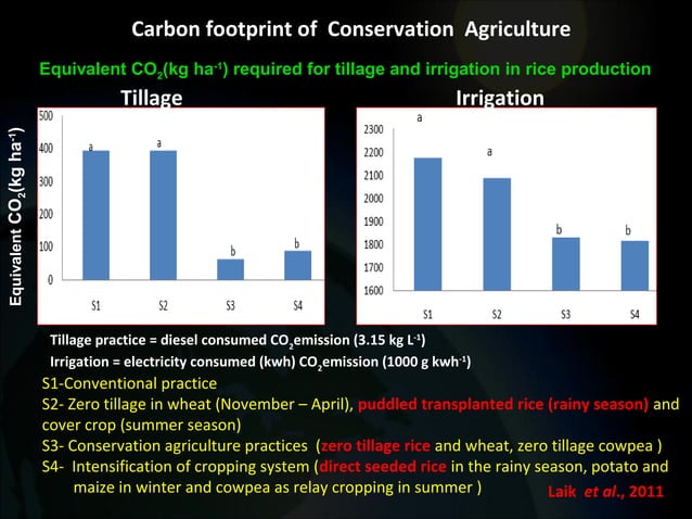 Carbon and nitrogen footprint for food crop production | PPT | Agriculture | Industries