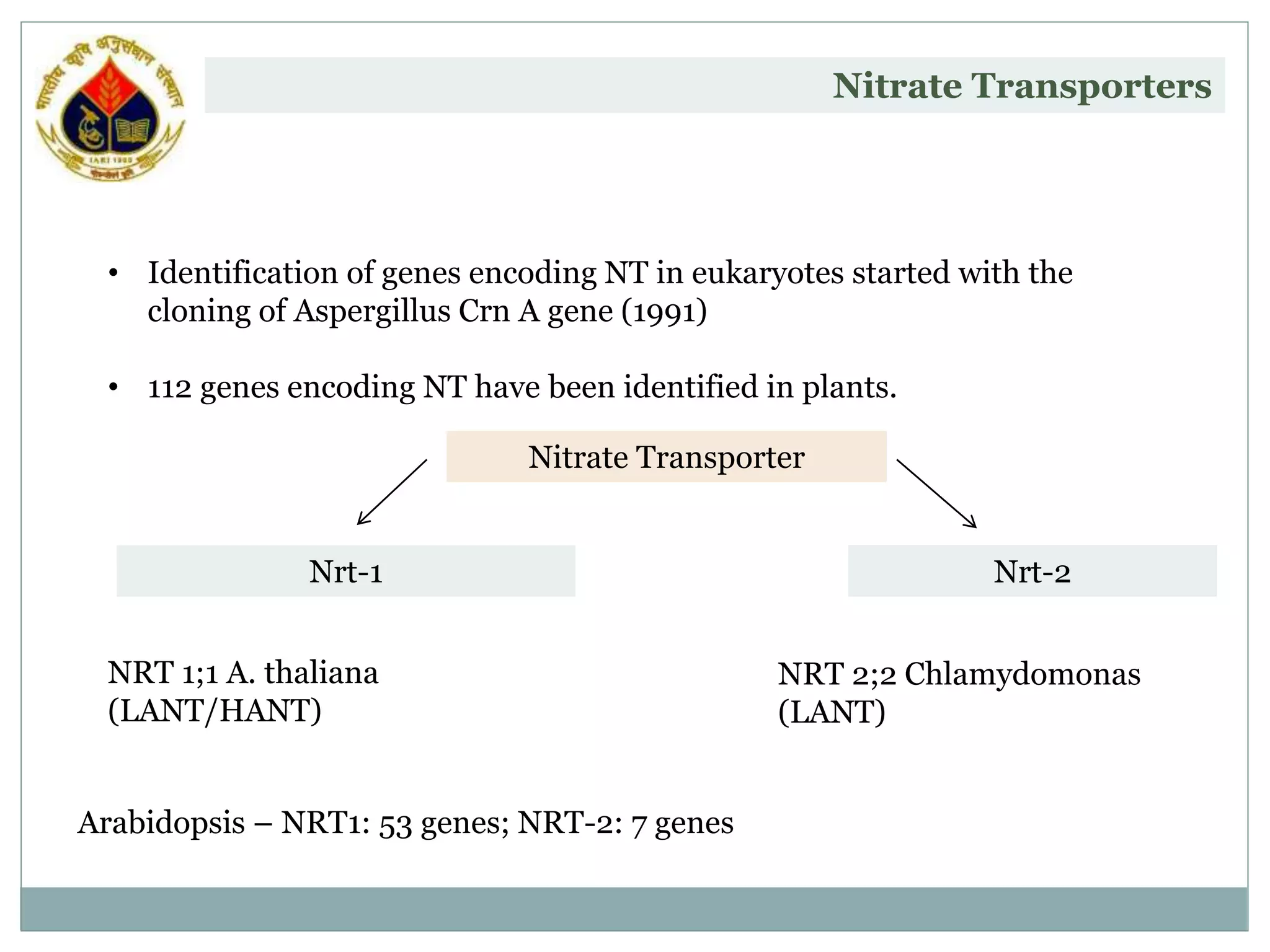 Carbon and Nitrogen Metabolism-Lecture-1 (2).pptx